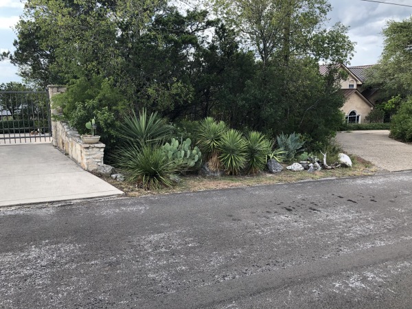 Design project for Texas native cactus and Limestone fence in United ...