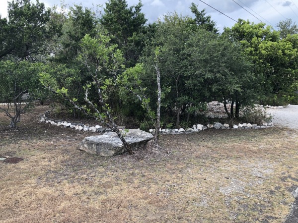 Design project for Texas native cactus and Limestone fence in United ...