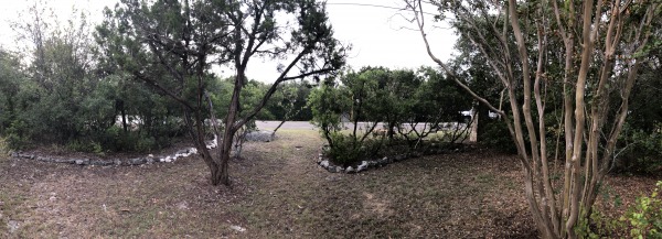 Design project for Texas native cactus and Limestone fence in United ...