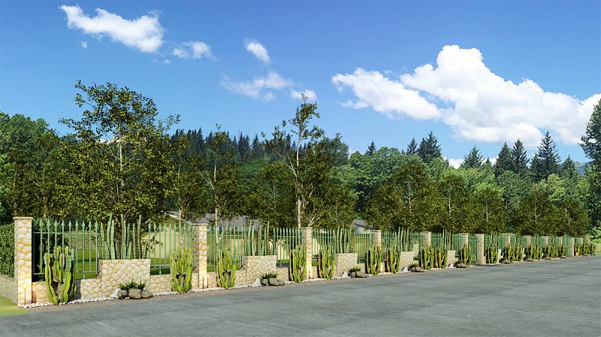 Design project for Texas native cactus and Limestone fence in United ...