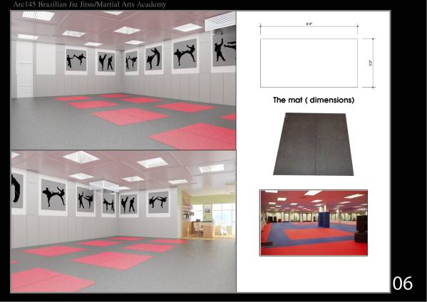 Design project for Brazilian Jiu Jitsu/Martial Arts Academy in United ...