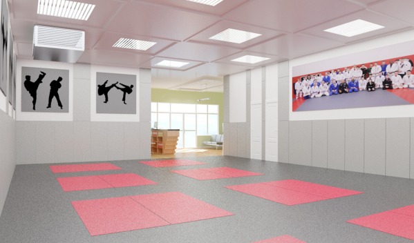 Design project for Brazilian Jiu Jitsu/Martial Arts Academy in United ...