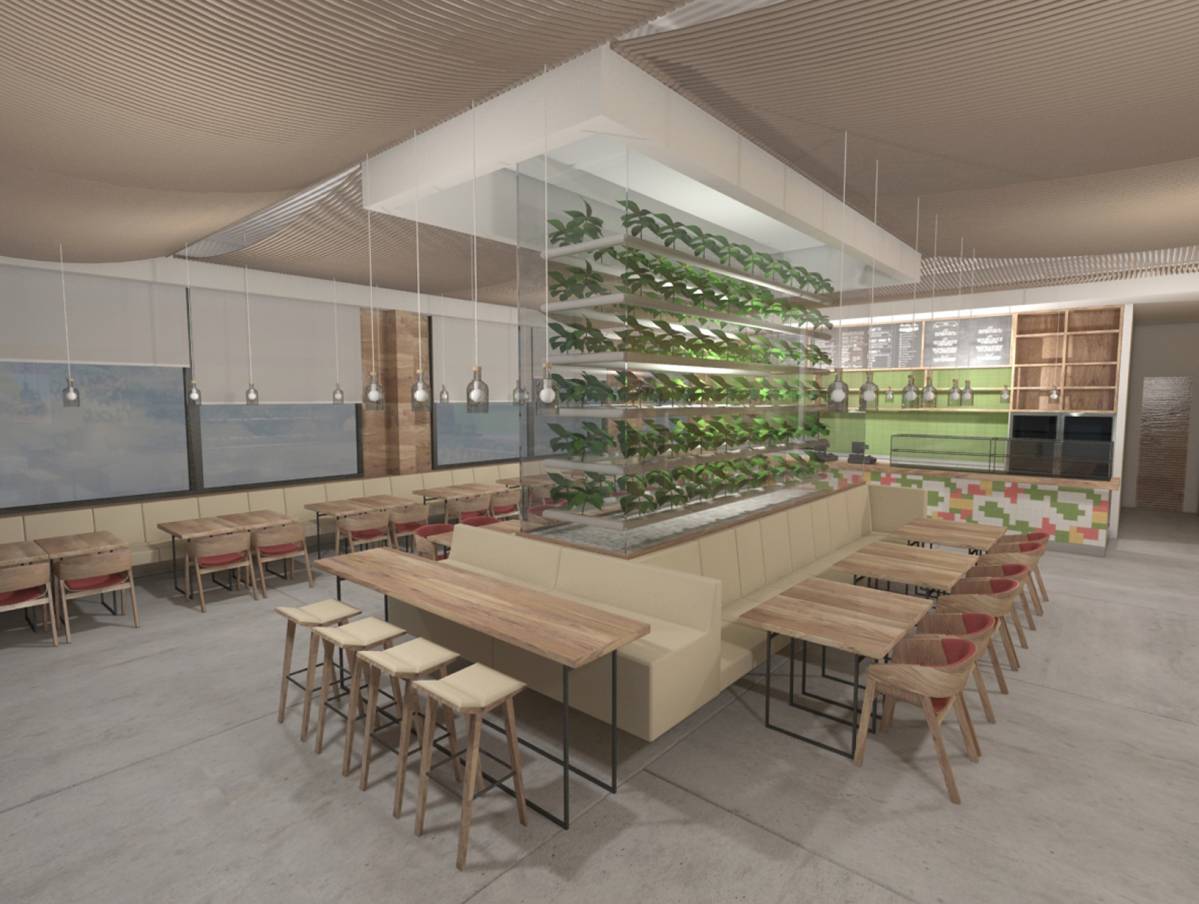 Design project for Organic Vegetarian Restaurant in United States ...