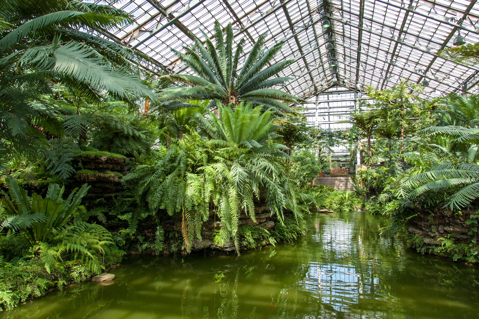 Garfield Park Conservatory · Sites · Open House Chicago