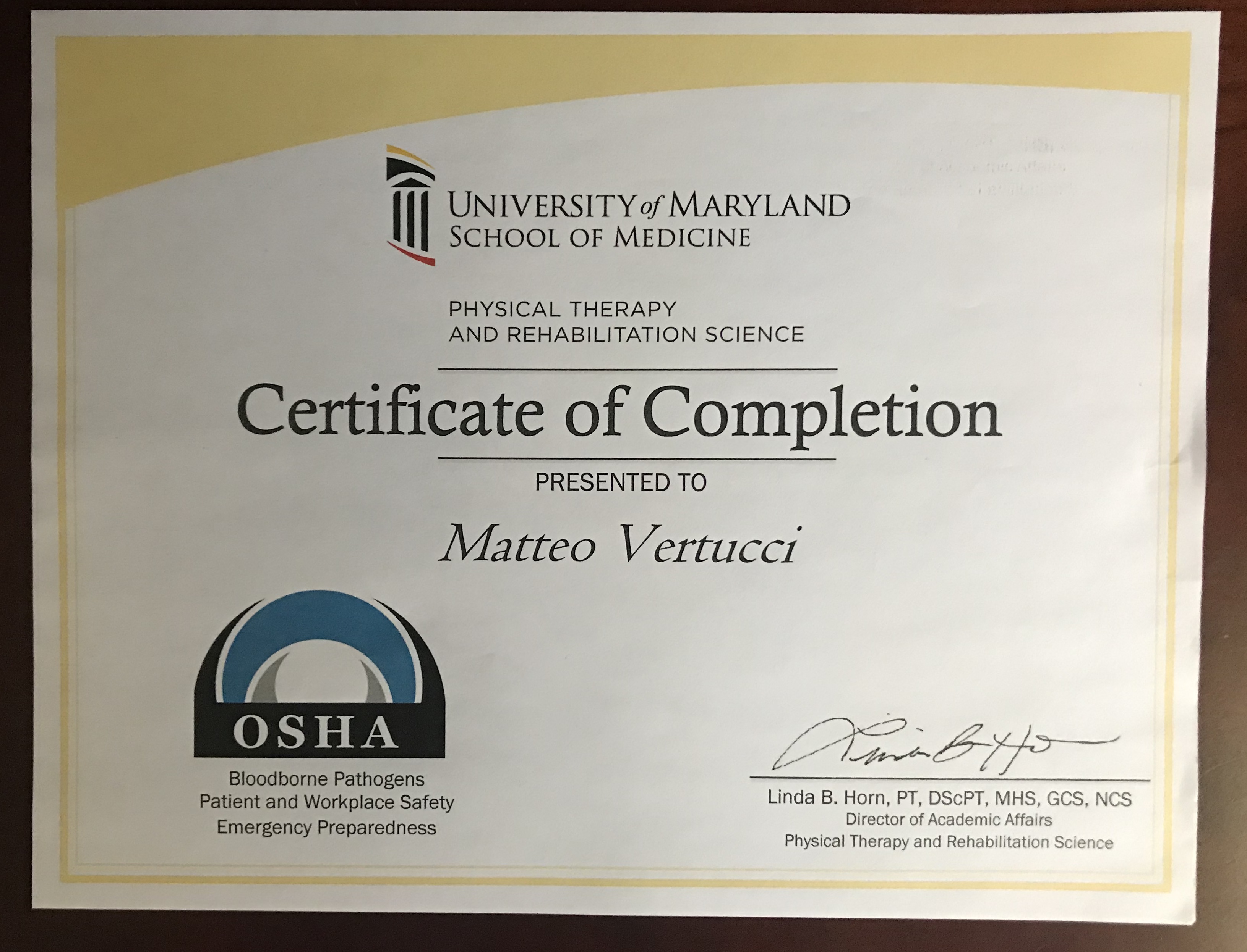 Matteo Vertucci, PT, DPT - Physical Therapist at True Sports Physical ...