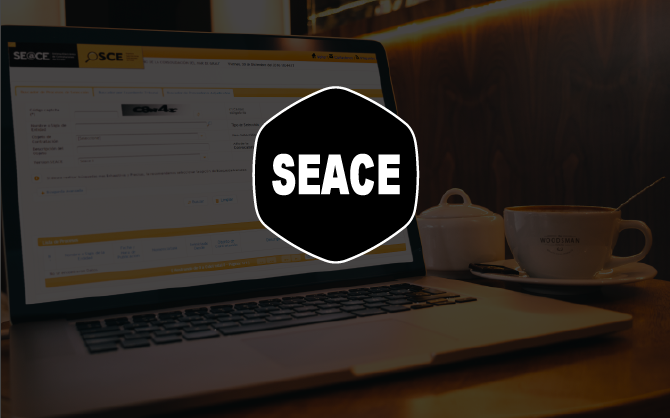 MANEJO PRÁCTICO DEL SEACE v3.0