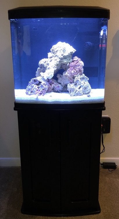 NEW 32-Gallon BioCube LED w/Stand & More [sold] - Complete Systems ...