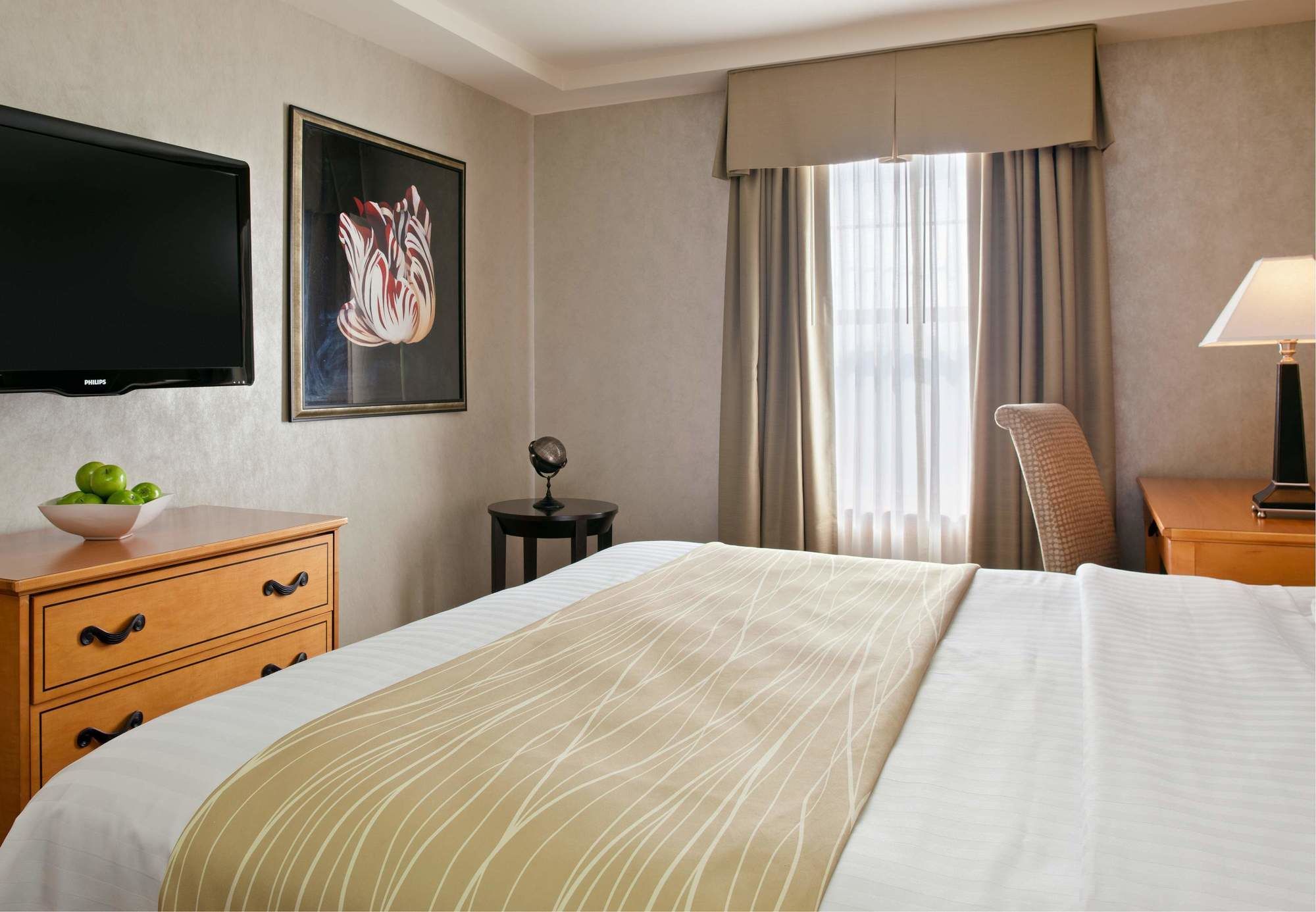 Discount Coupon for Residence Inn by Marriott St Louis Downtown in St ...