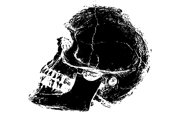 Adobe Illustrator Skull Vector Art Pack