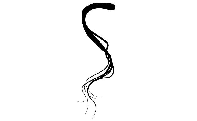 Hair Vector Pack