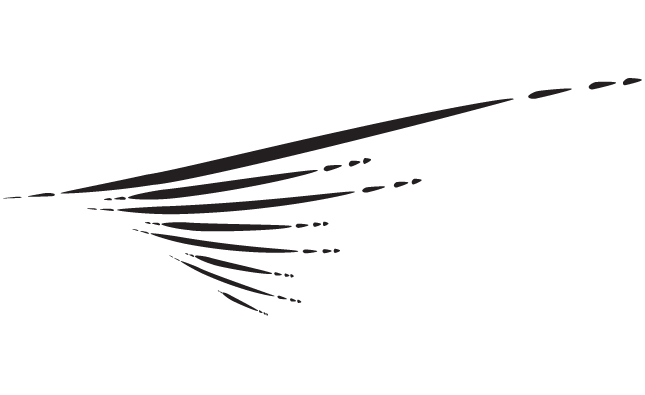 Adobe Illustrator Flourishes Vector Pack