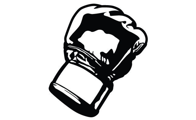 MMA Fight Gear Vector Pack