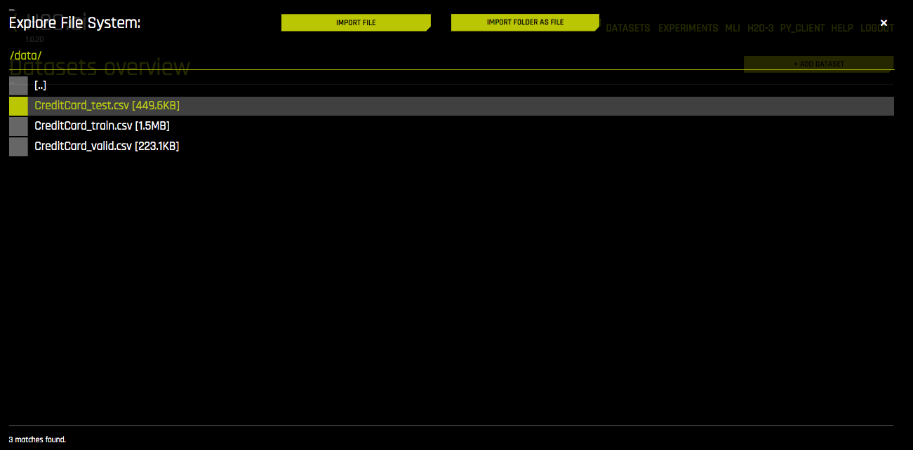 The Datasets Page — Using Driverless AI 1.3.0 documentation