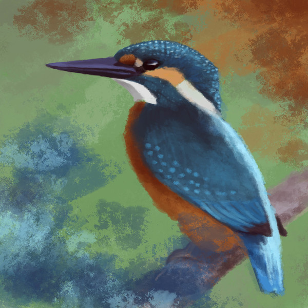 Digital Bird Painting - Artists&Clients
