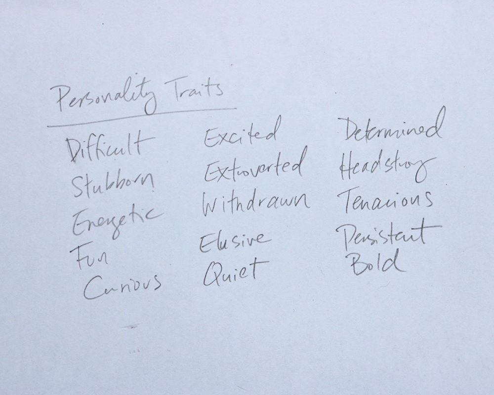 Chipboard Sculptures | Art Prof: Visual Art Essentials