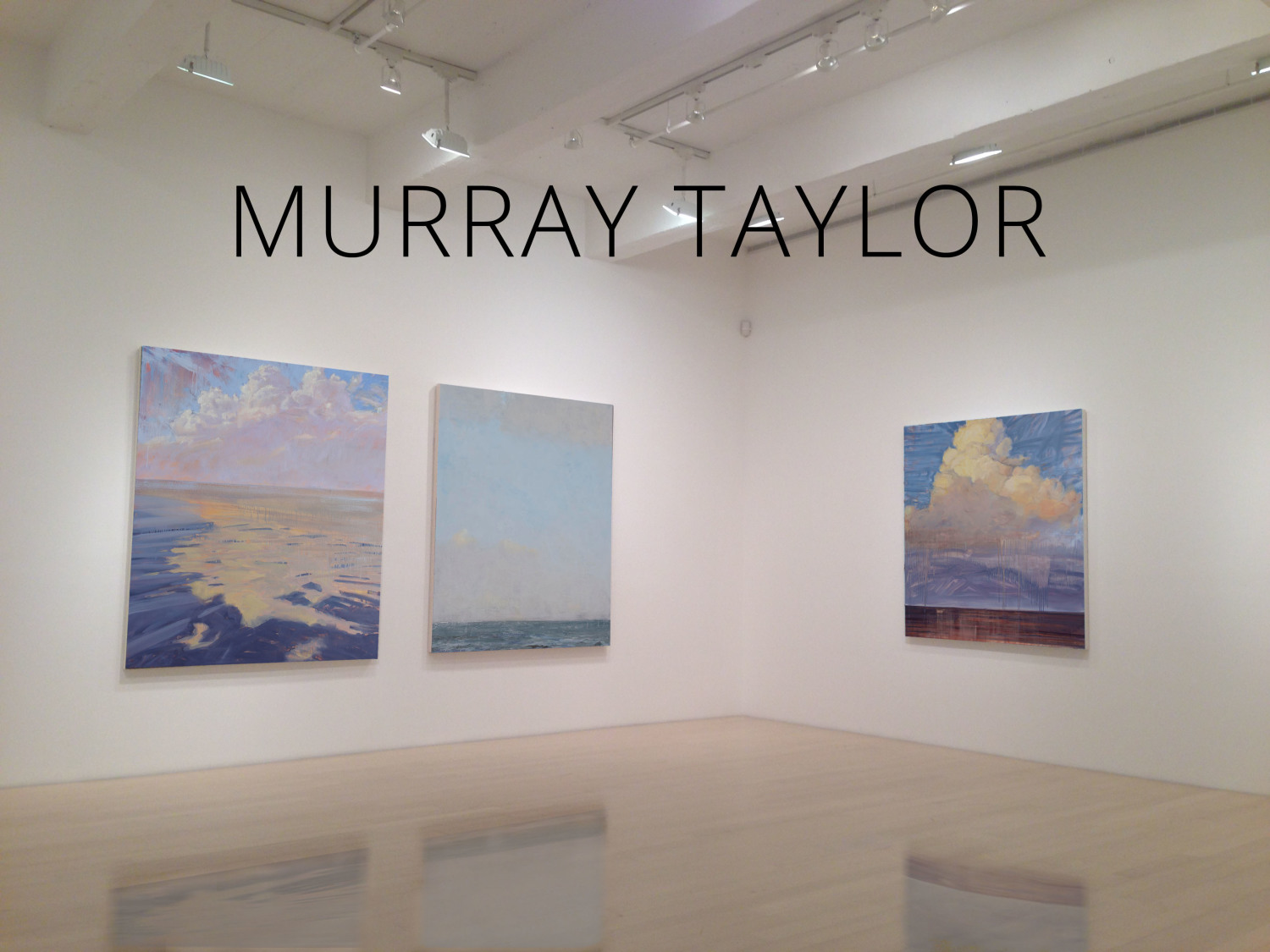 Murray Taylor