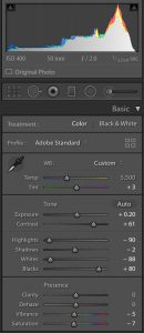 Pro Photographer's Guide to Lightroom Editing | Artsy Couture