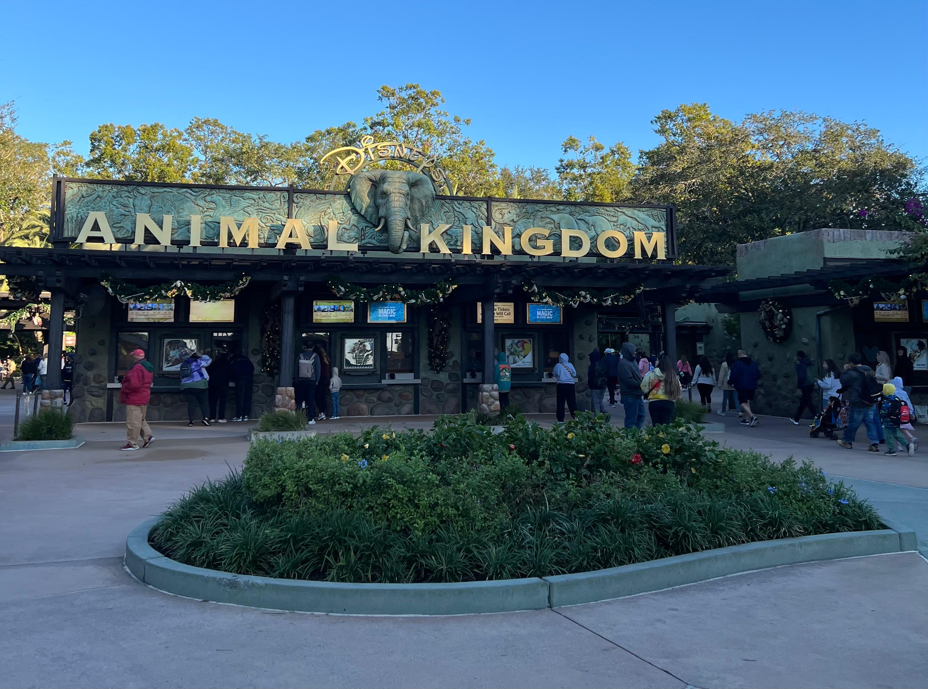 Crianças e jovens do Fluminense Experience visitam parque da Disney em ...