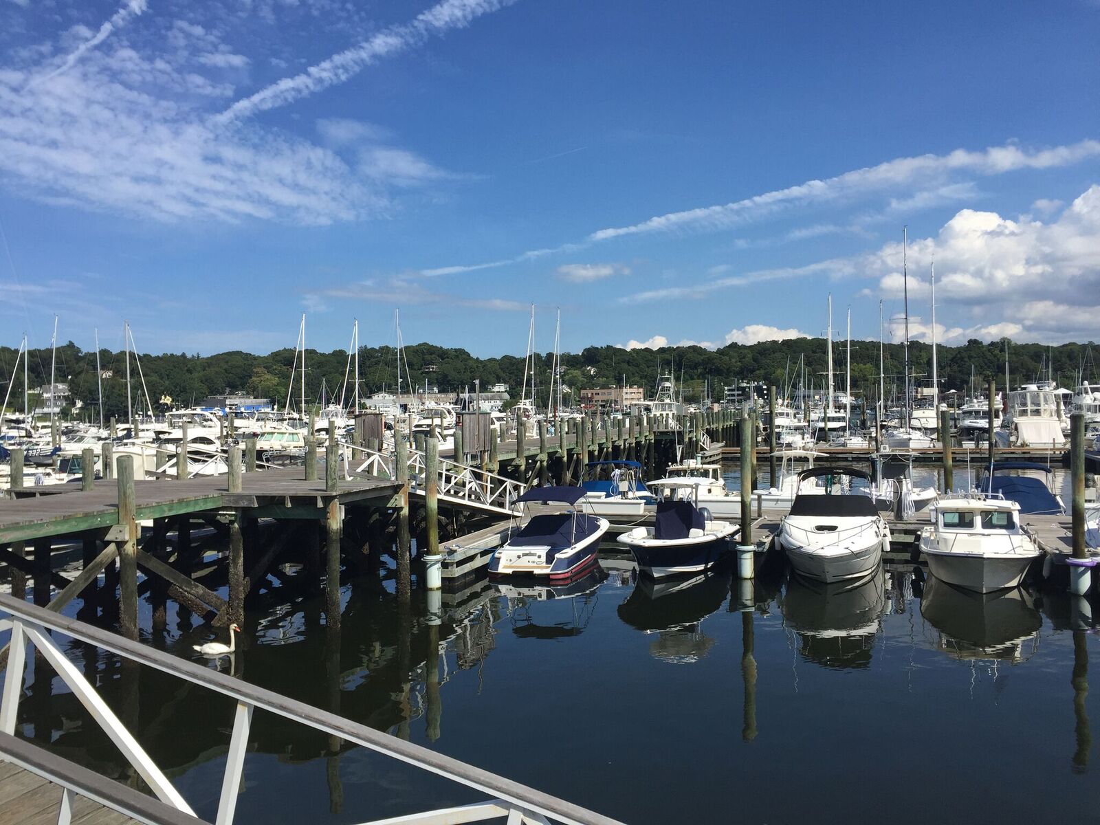 Starlight Marina - Upstate New York Marina - Snag-A-Slip