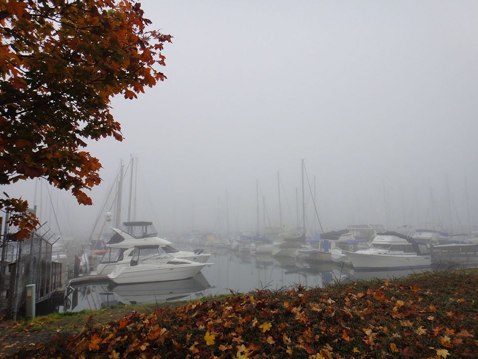 Point Roberts Marina - Washington Marina - Pacific Northwest Marina ...
