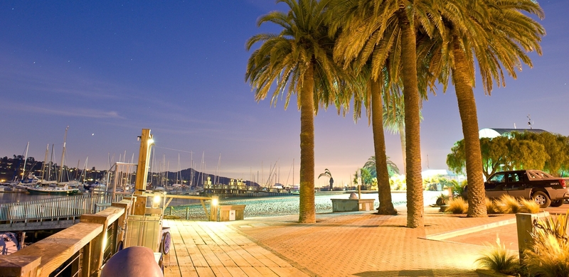 Schoonmaker Point Marina - San Francisco Bay Marina - Sausalito