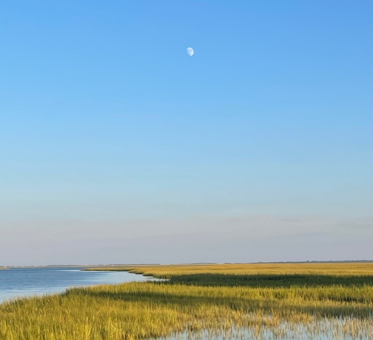 Bull River Marina - Georgia Marina on Atlantic ICW - Snag-A-Slip