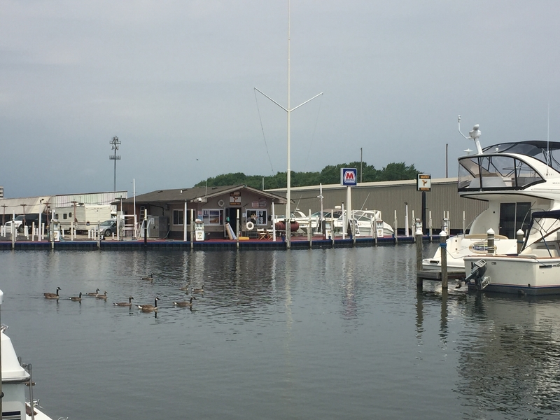 Algonac Harbour Cove | Lake St. Clair | Snag-A-Slip