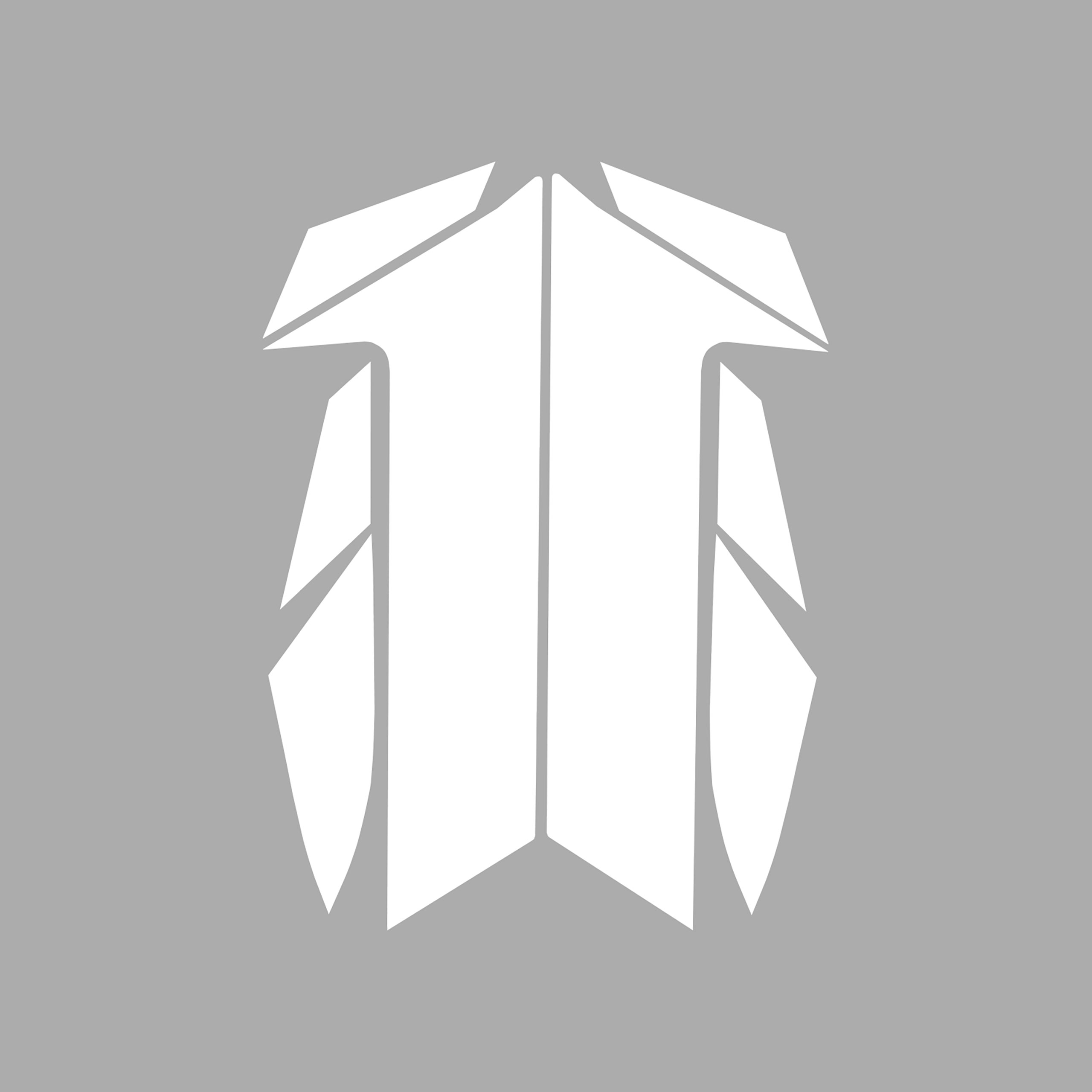 Rear Window Shadow Accents - 8pc - for 2020-2023 C8 Corvette | eBay