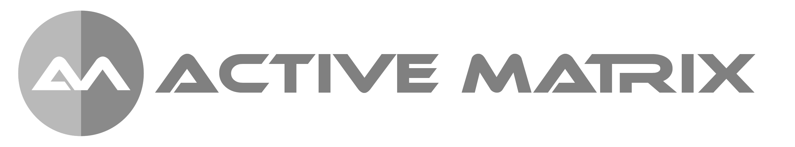 Active Matrix Corp - Login