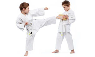 Karate Camps and Classes for Kids | ActivityHero