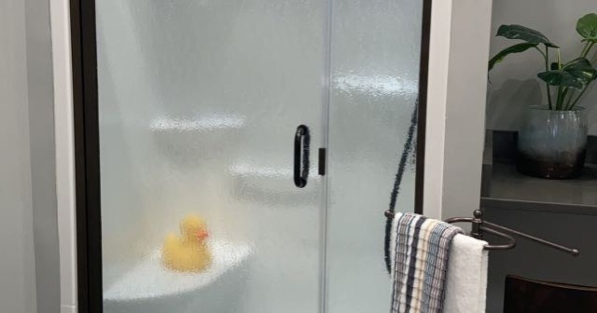 Fusion Swing Door & Panel | Basco Shower Doors