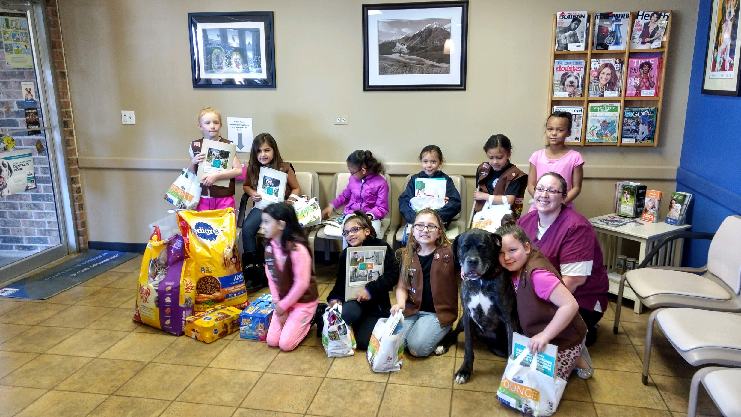 Addison Animal Hospital | Veterinarian in Addison, IL