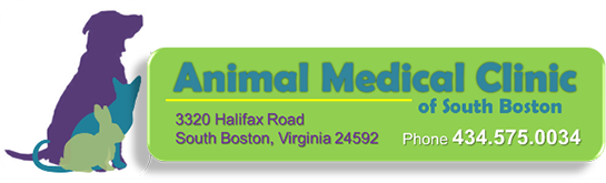 Animal Medical Clinic of South Boston | Veterinarian