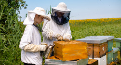 Cornell Cooperative Extension