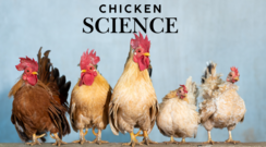 Cornell Cooperative Extension