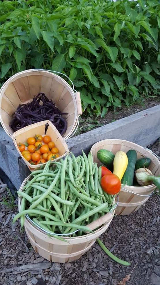 Cornell Cooperative Extension | Seed to Supper