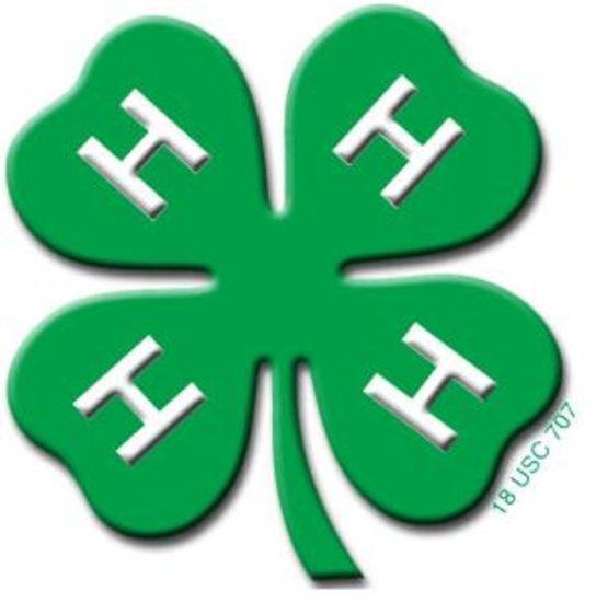 Cornell Cooperative Extension | 4-H Youth Development