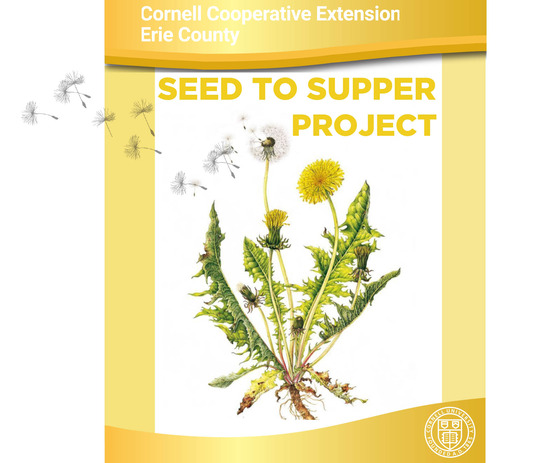 Cornell Cooperative Extension | Seed to Supper Project