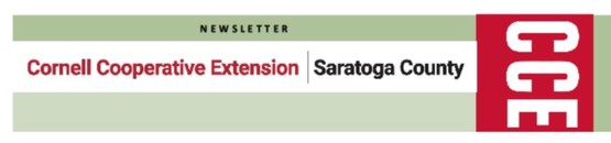 Cornell Cooperative Extension | CCE Saratoga Newsletter