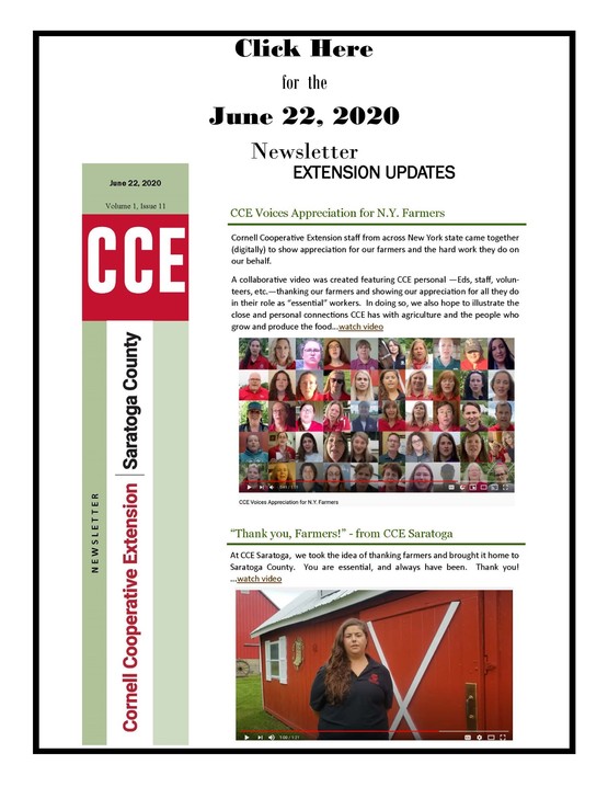 Cornell Cooperative Extension | CCE Saratoga Newsletter