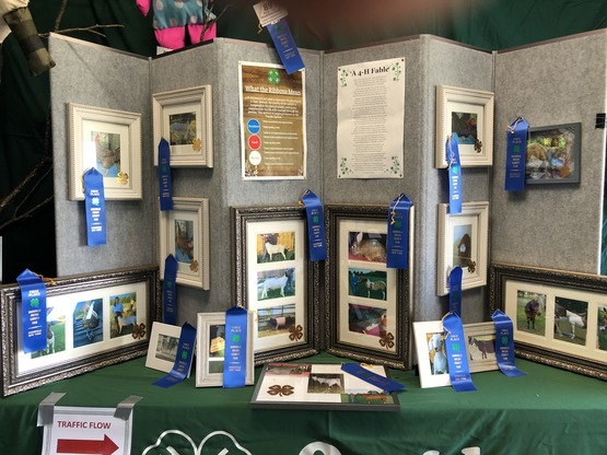 Cornell Cooperative Extension | Come and Vote at the Oneida County 4-H ...