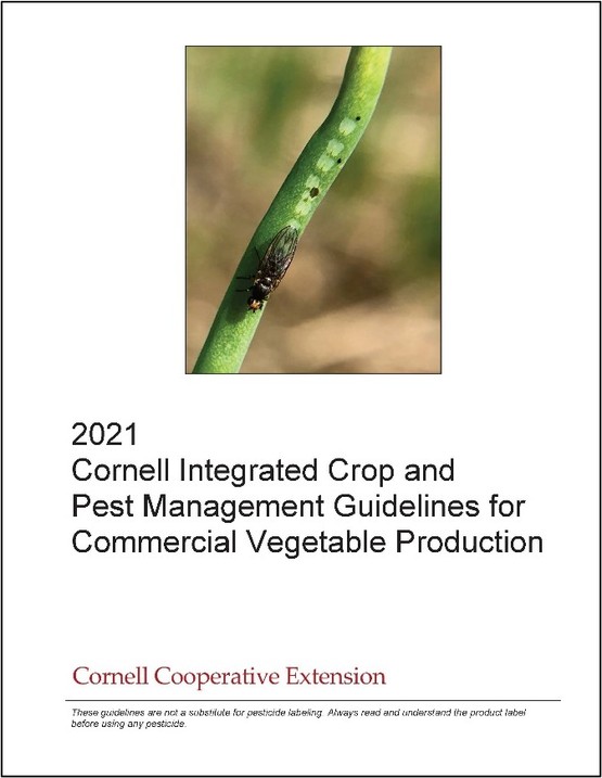 Cornell Cooperative Extension | Pests & IPM