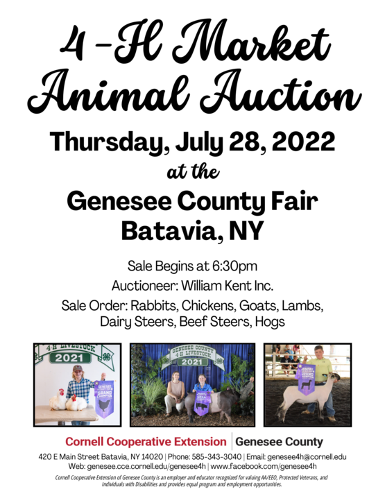 Cornell Cooperative Extension | 4-H Market Animal Auction