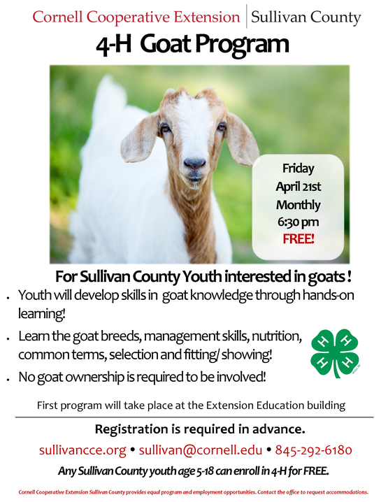 Cornell Cooperative Extension | 4-H Goat Program