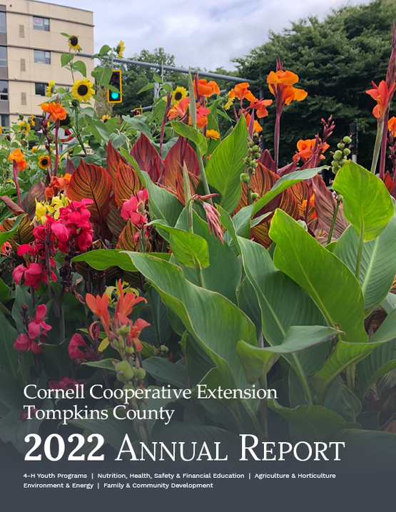 Cornell Cooperative Extension | About Us