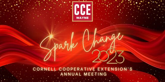Cornell Cooperative Extension | About Us