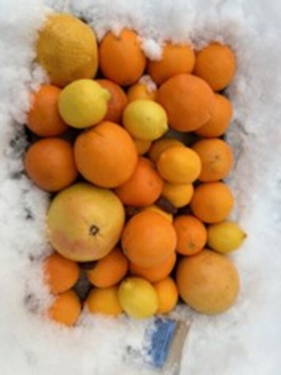 Cornell Cooperative Extension | Food Preservation