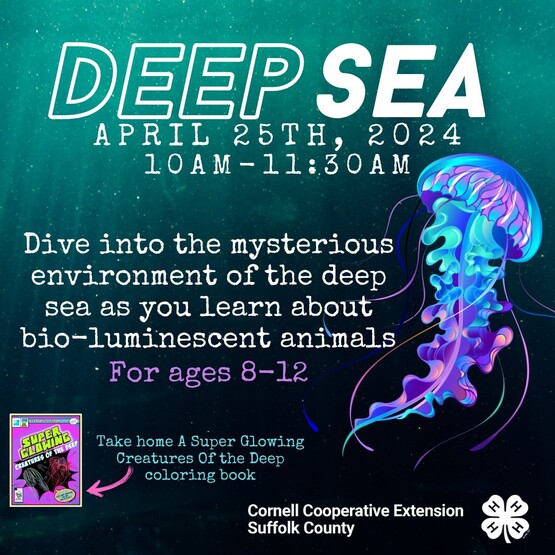 Cornell Cooperative Extension | Deep Sea at The Suffolk County Farm ...