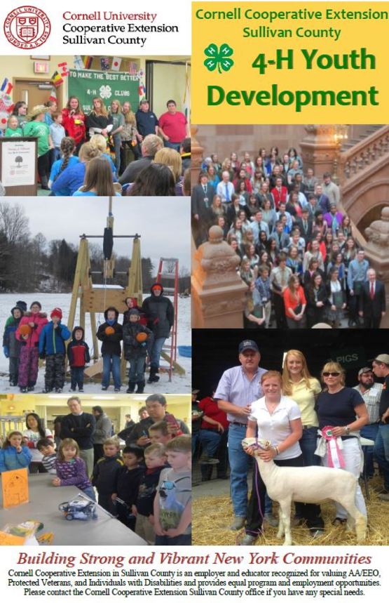 Cornell Cooperative Extension | 4-H Youth Development