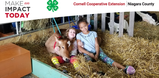 Cornell Cooperative Extension